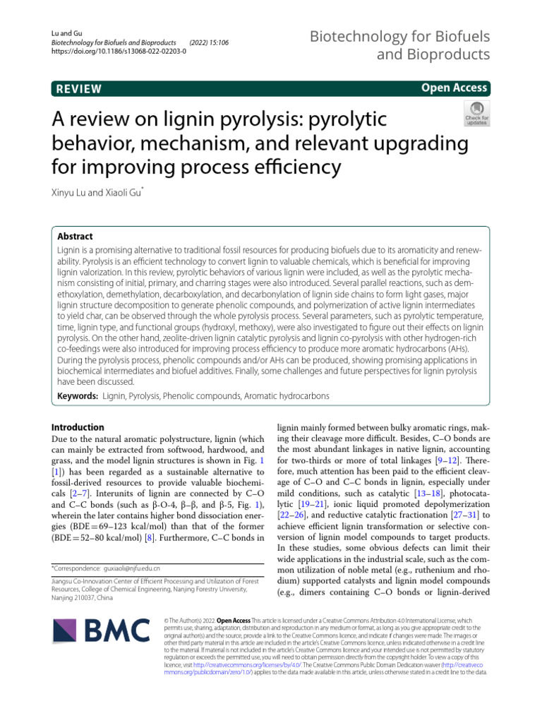 A Review On Lignin Pyrolysis Pyrolytic Behavior Mechanism and Relevant ...