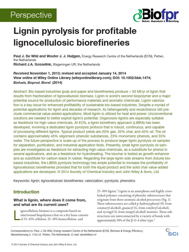 Lignin Pyrolysis For Profitable Lignocellulosic Biorefineries | PDF | Biorefinery | Lignin