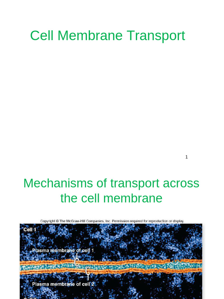 Cell Membrane Transport Mechanisms | PDF | Cell Membrane | Osmosis