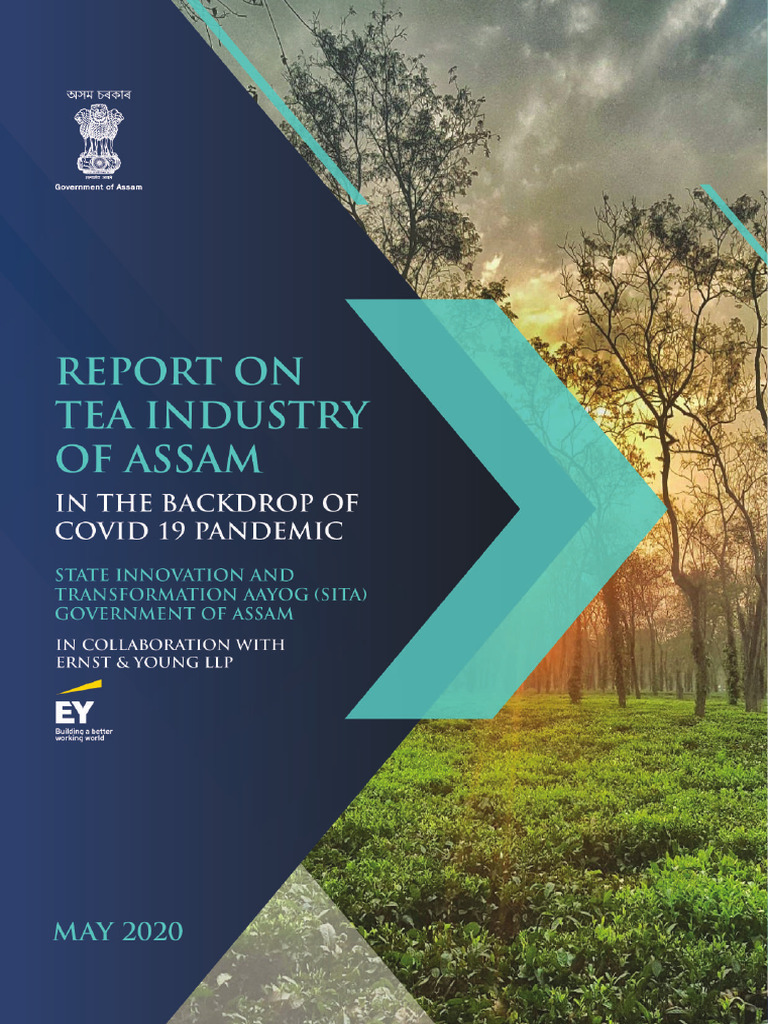 Assam Tea Industry Insights and Challenges | PDF | Tea | Labour Economics