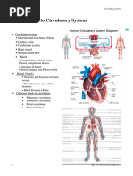 Class 10 Circulatory System Detailed Notes | PDF | Heart | Artery