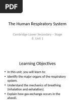 Structure and Function of The Gas Exchange System - Respiration and Gas ...