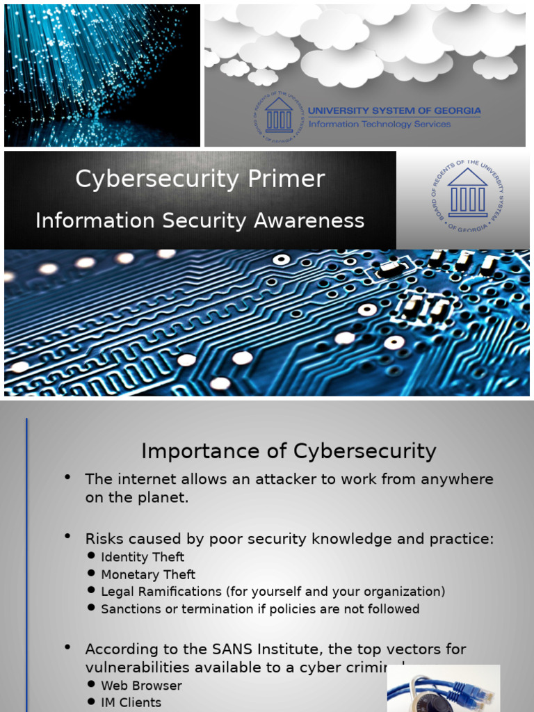 USG Security Awareness Primer | PDF | Security | Computer Security