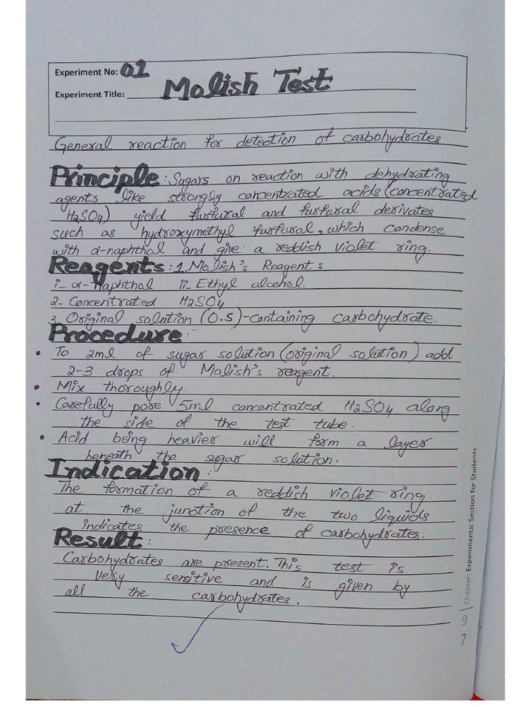 Biochemistry Practical Notebook | PDF
