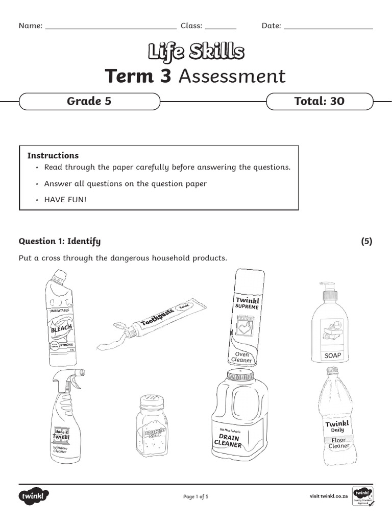 Grade 5 Life Skills Term 3 Assessment | PDF | Fat | Nutrition