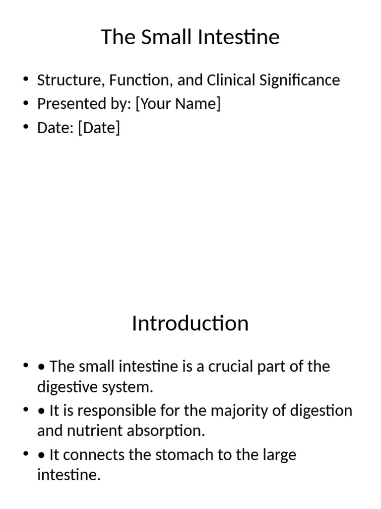Small Intestine Presentation | PDF