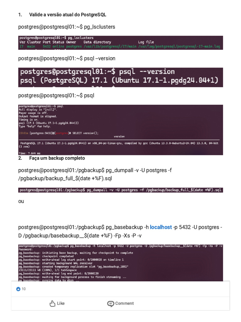 PostgreSQL_ Upgrade Minor Version | PDF