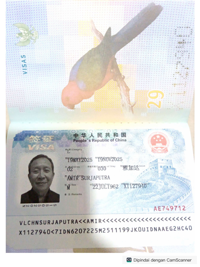 China AMIR Surjaputra | PDF