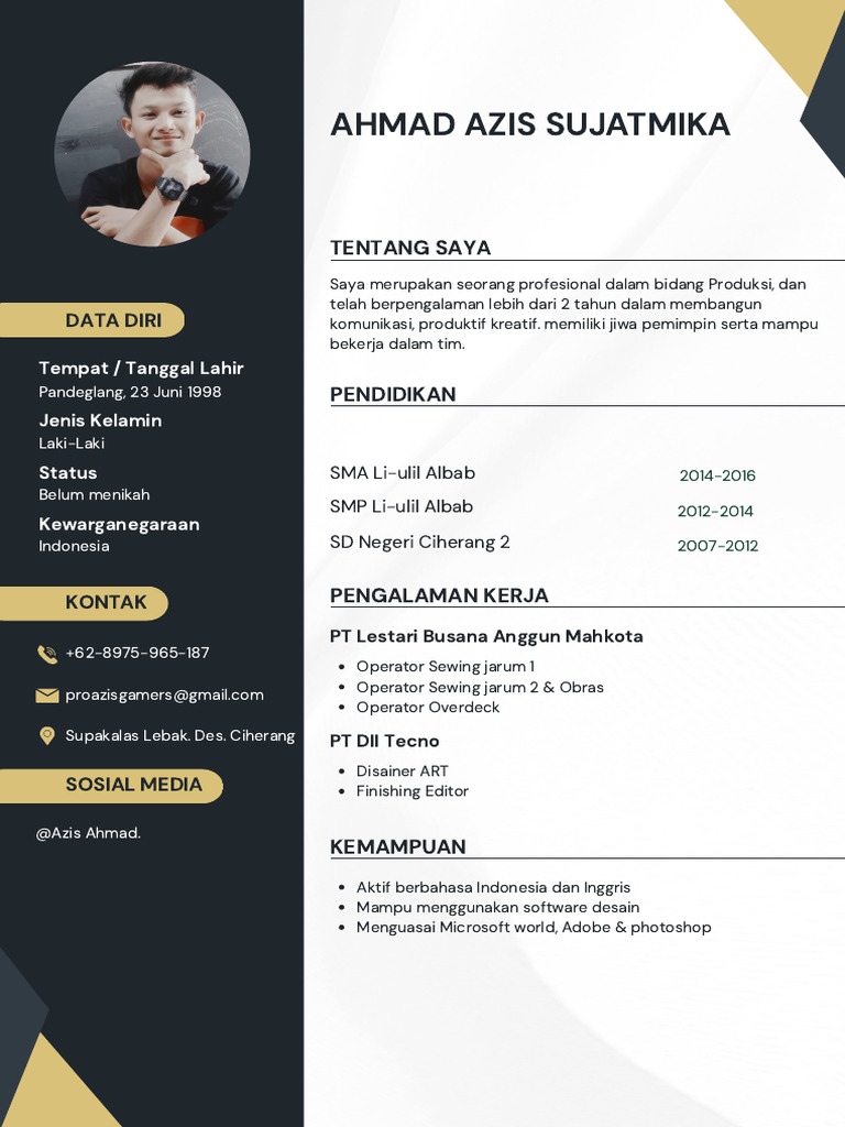 My CV | PDF