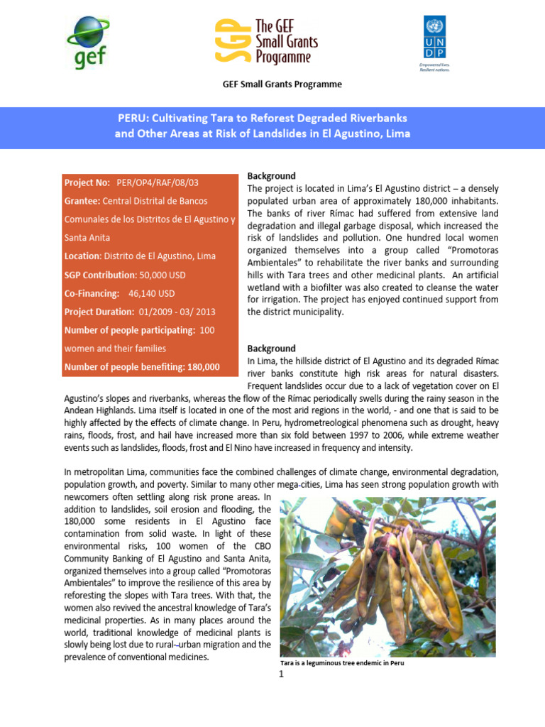 CASE STUDY 1. Tara Trees To Prevent Land Slides - PERU | PDF | Climate ...