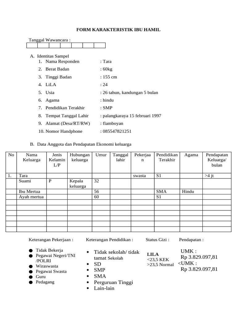 Kuesioner Ibu Hamil Febby | PDF