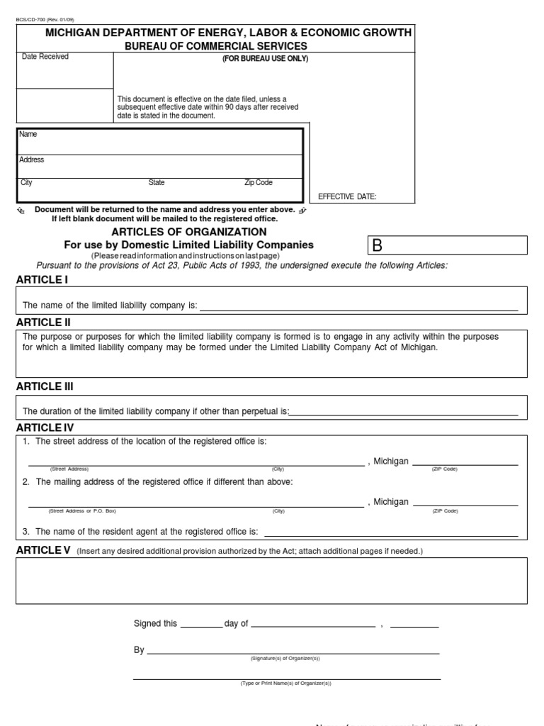 LLC Form | PDF | Limited Liability Company | Government Information