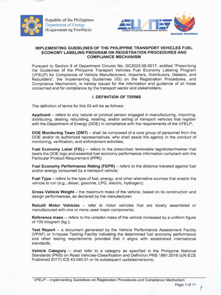 Vfelp Ig On RPCM | PDF