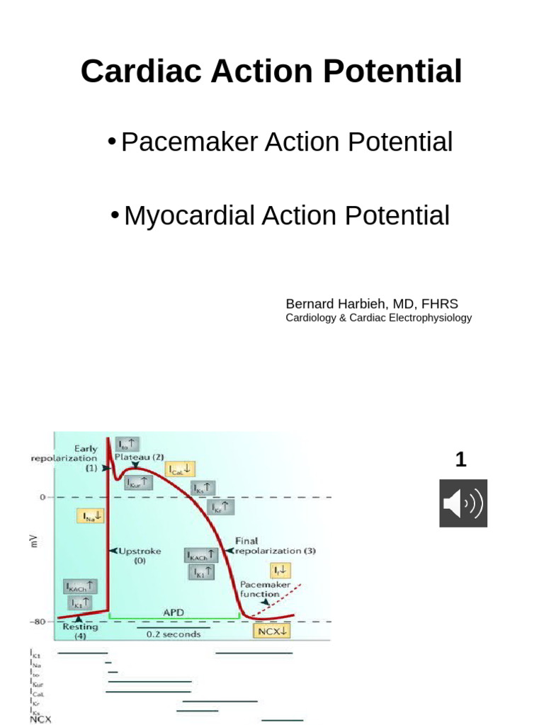 Cardiac Action Potential 2024 | PDF | Action Potential | Cell Biology