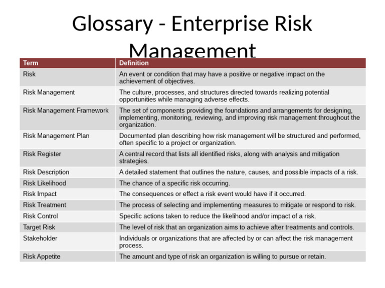 Glossary Risk Management | PDF
