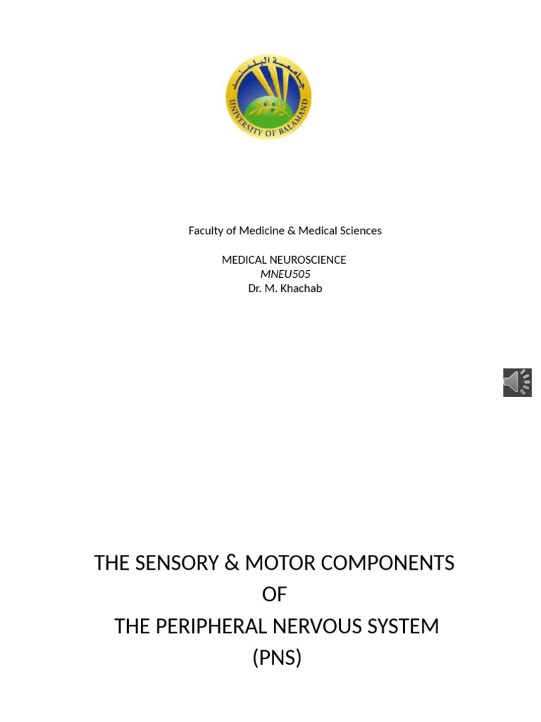 023 RECORDED Sensory & Motor Components PNS | PDF | Motor Neuron ...