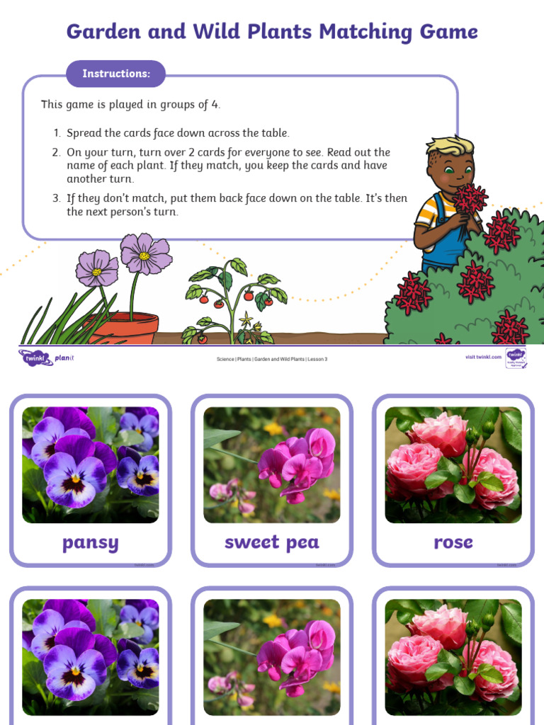 Matching Game Garden and Wild Plants | PDF