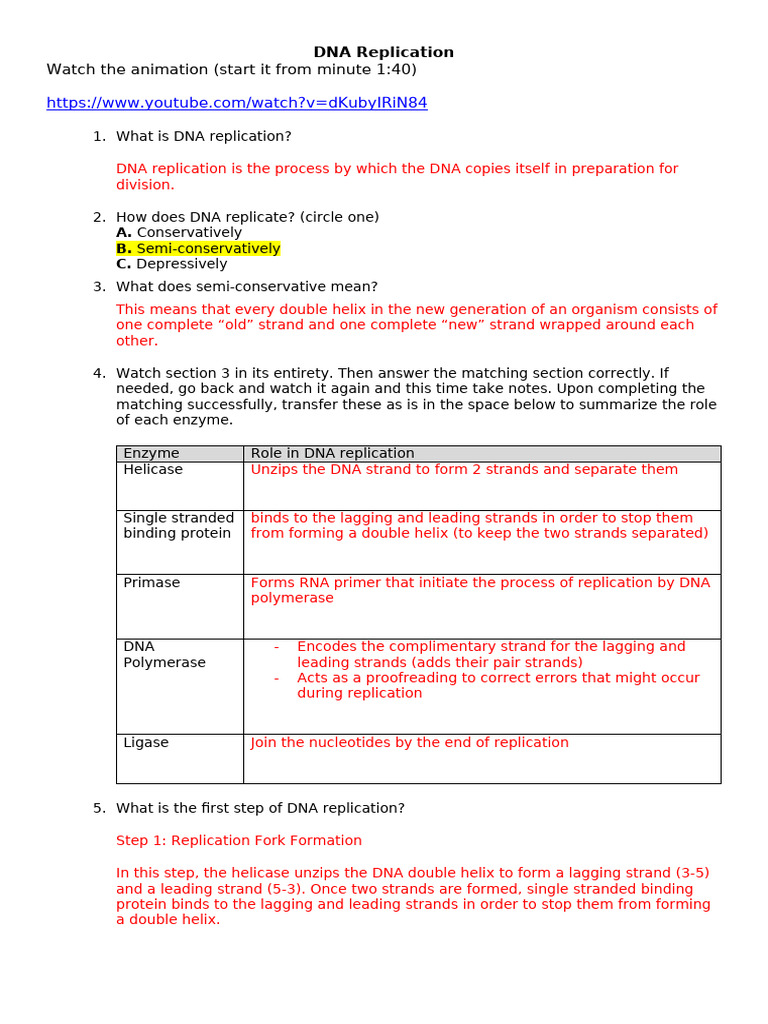 DNA Replication Worksheet Answers | PDF | Dna Replication | Dna