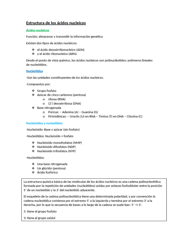 Cidos Nucleicos 1 | PDF | Ácidos nucleicos | Adn