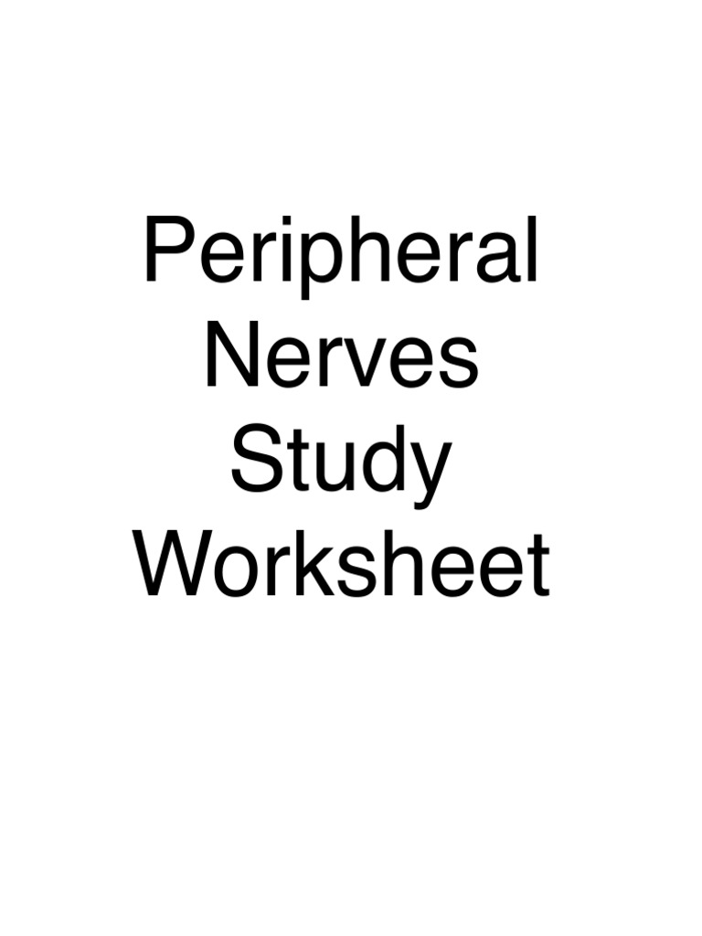 Peripheral Nerves Study Worksheet | PDF | Nerve | Primate Anatomy