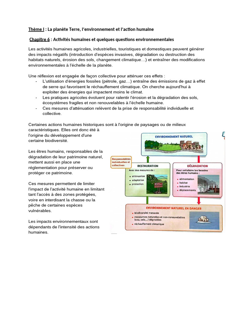 Impact des activités humaines sur l'environnement | PDF