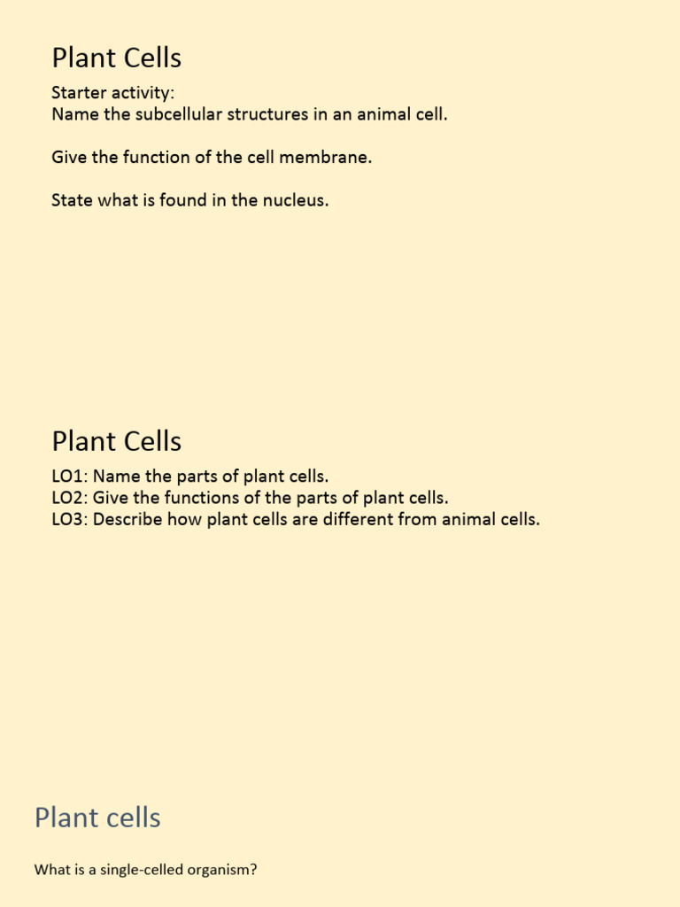 Edited - Topic 2 - Lesson 2 - Plant Cells | PDF | Cell (Biology) | Chloroplast