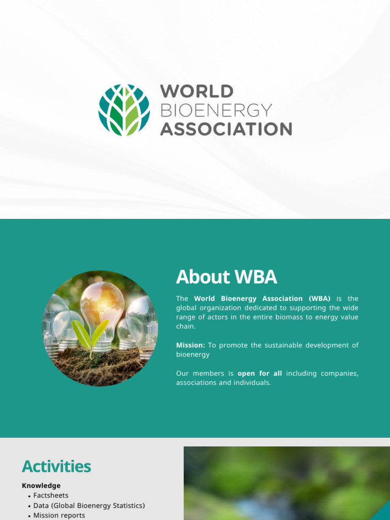 World Bioenergy Association Overview | PDF | Bioenergy | Power Resources