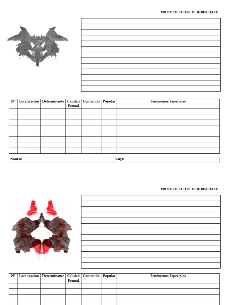 Protocolo Test de Rorschach | PDF