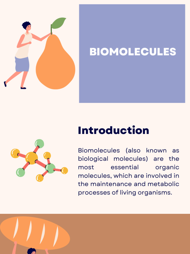 Biomolecules Carbohydrates | PDF | Carbohydrates | Polysaccharide