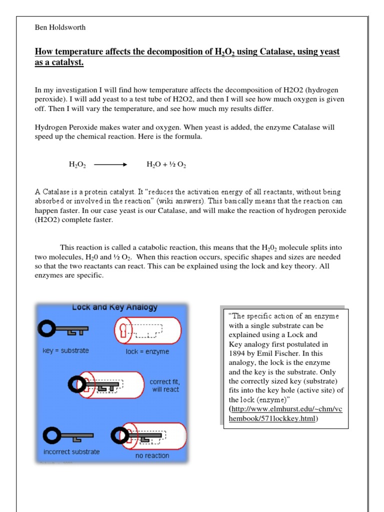 The Decomposition of H2O2 Using Catalase | Chemical Reactions | Hydrogen Peroxide