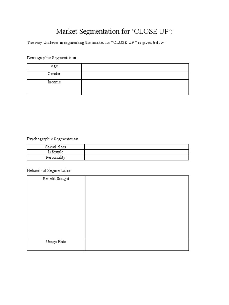 Term Paper Unilever | PDF | Market Segmentation | Unilever