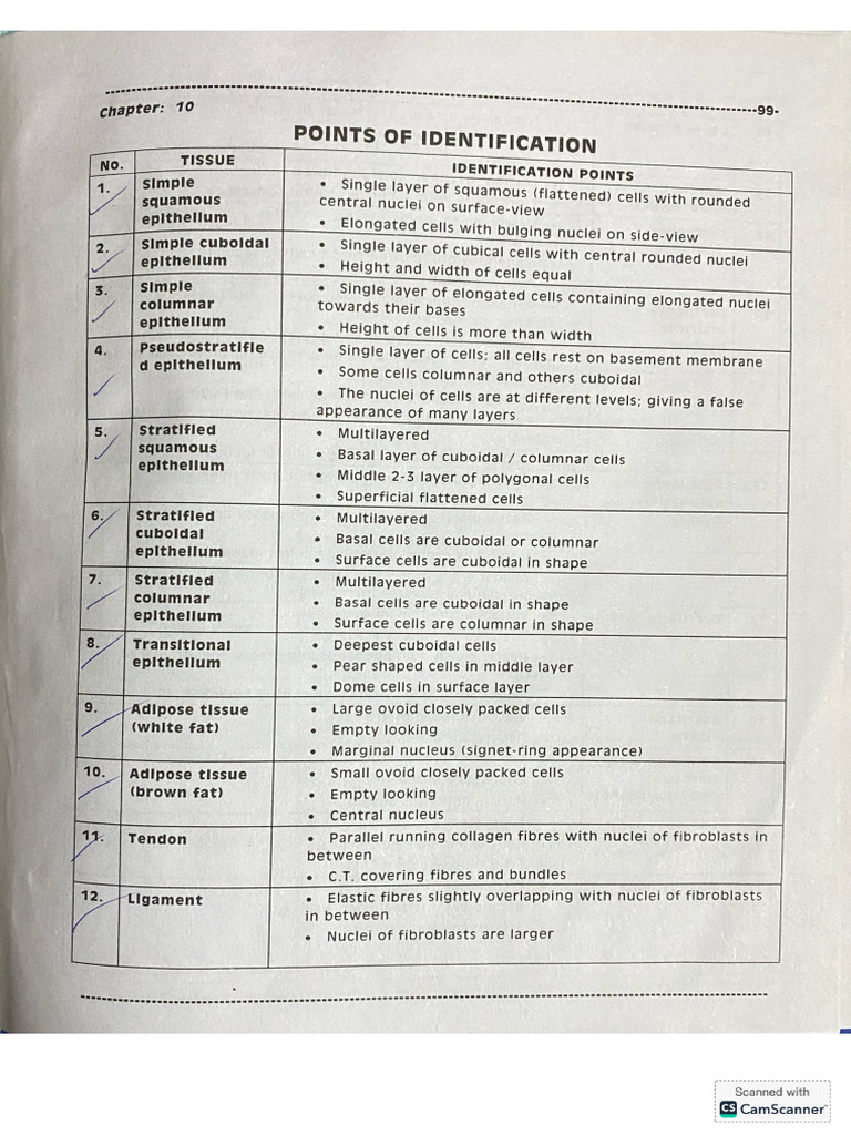 Points of Identification | PDF