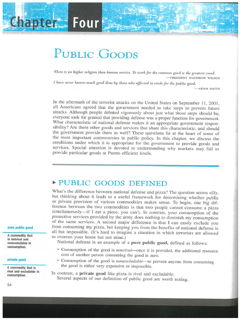 Public Goods | PDF