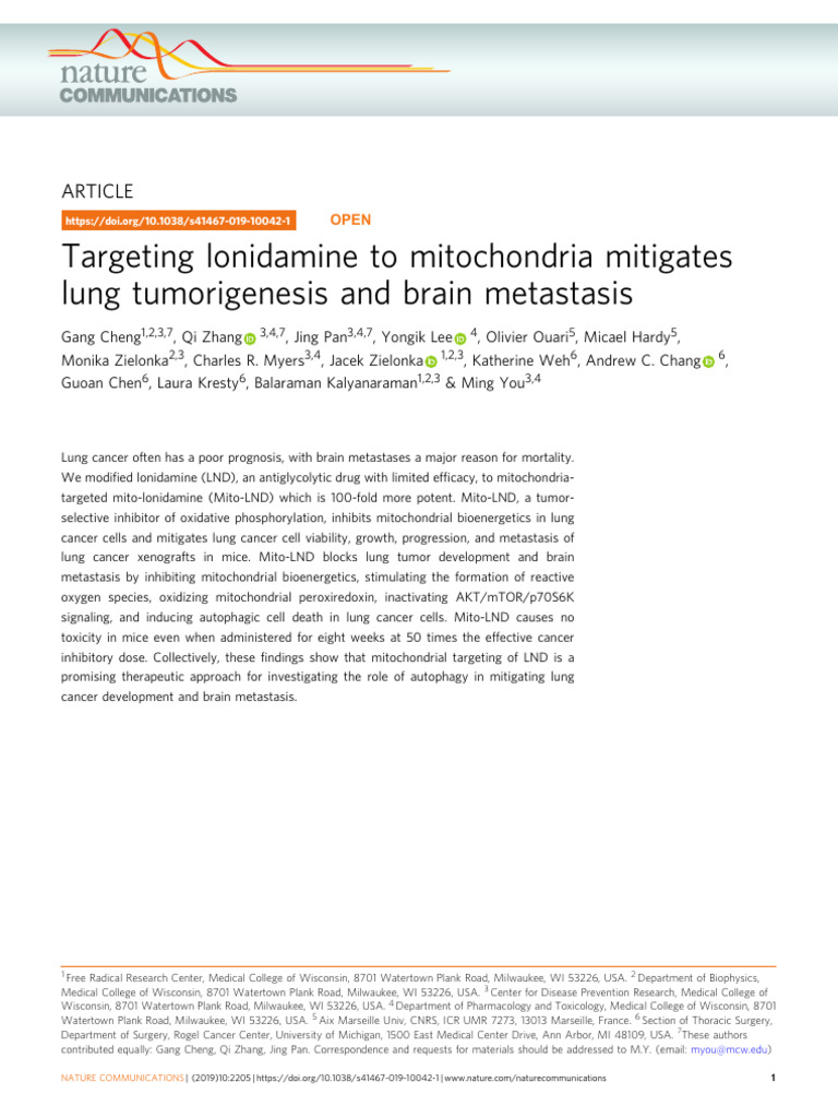 Lonidamine - LC Brain Metastasis | PDF | Cancer | Metastasis