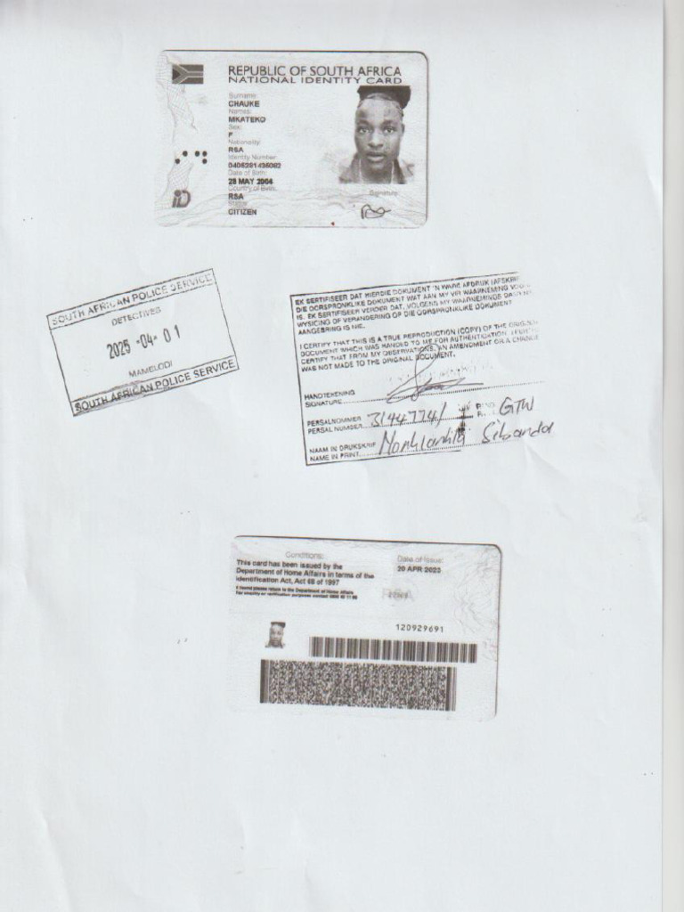 South African ID | PDF