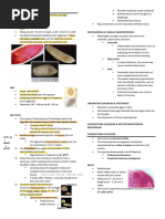 Trematode Flukes: Types and Characteristics | PDF | Zoology | Parasitology