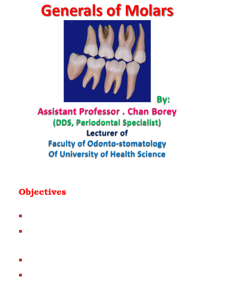 16-Generals of Molars | PDF | Dental Anatomy | Mouth