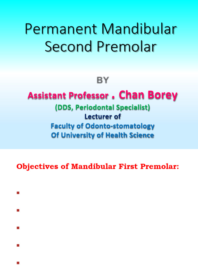Anatomy of the Mandibular 2nd Premolar | PDF | Dental Anatomy | Dentistry