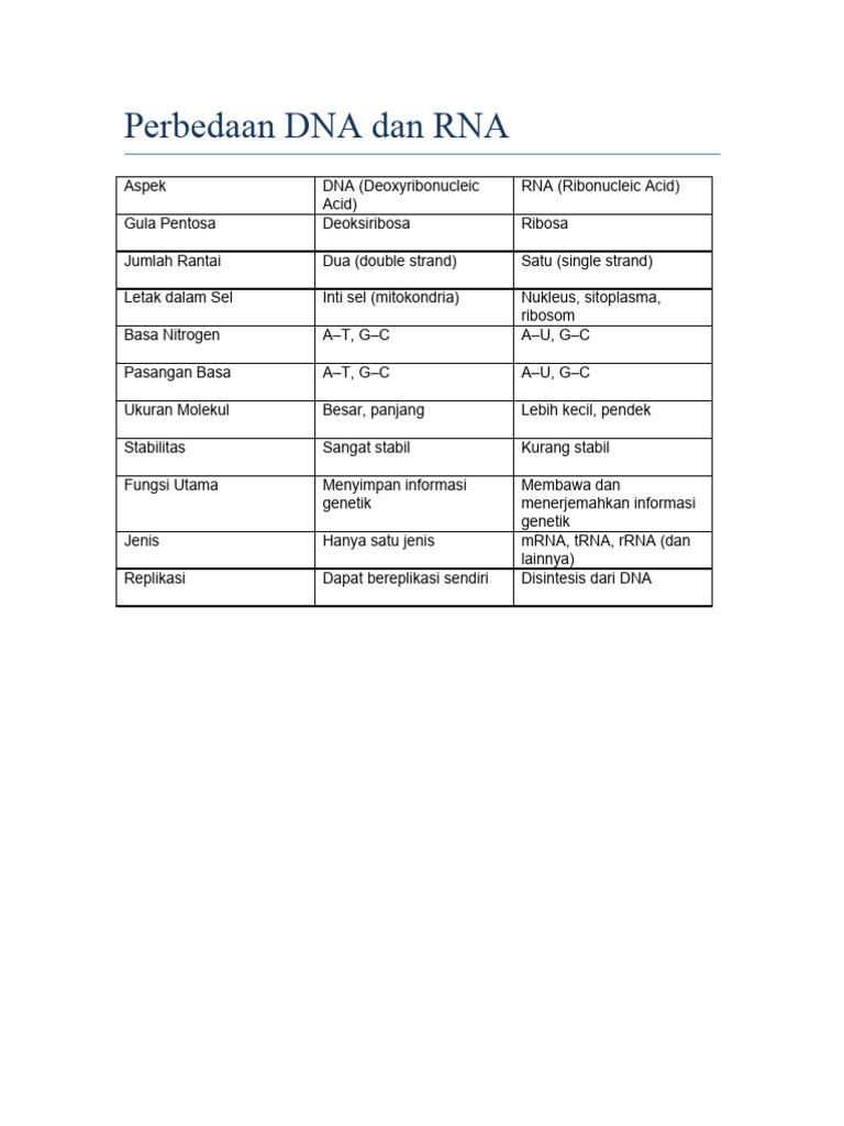 Perbedaan DNA Dan RNA | PDF