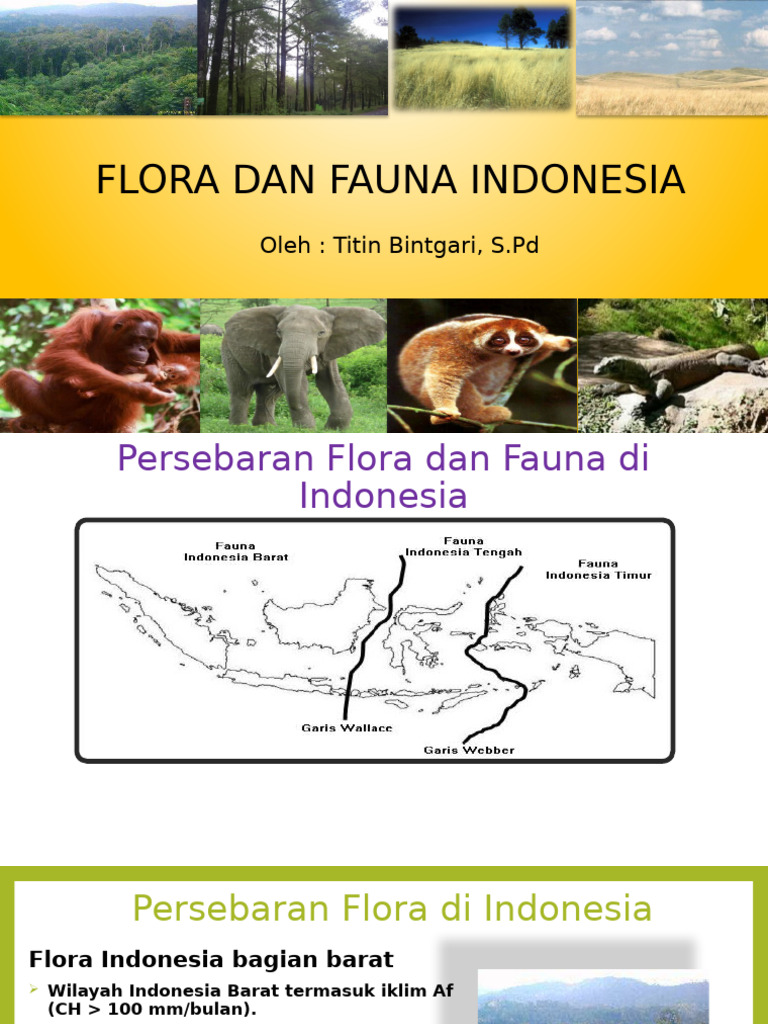 Flora & Fauna Indonesia | PDF