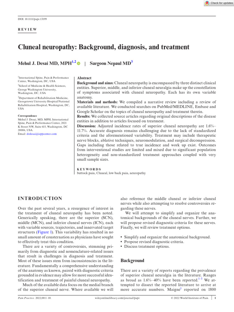 Cluneal Neuropathy 1672246833 | PDF | Human Anatomy | Musculoskeletal ...