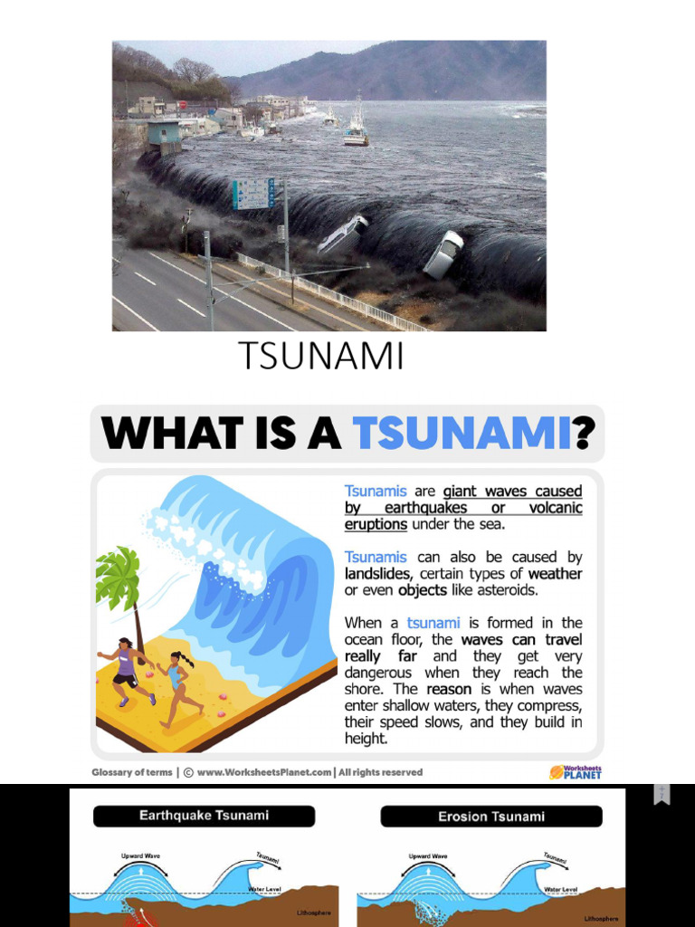 Tsunami 2 | PDF
