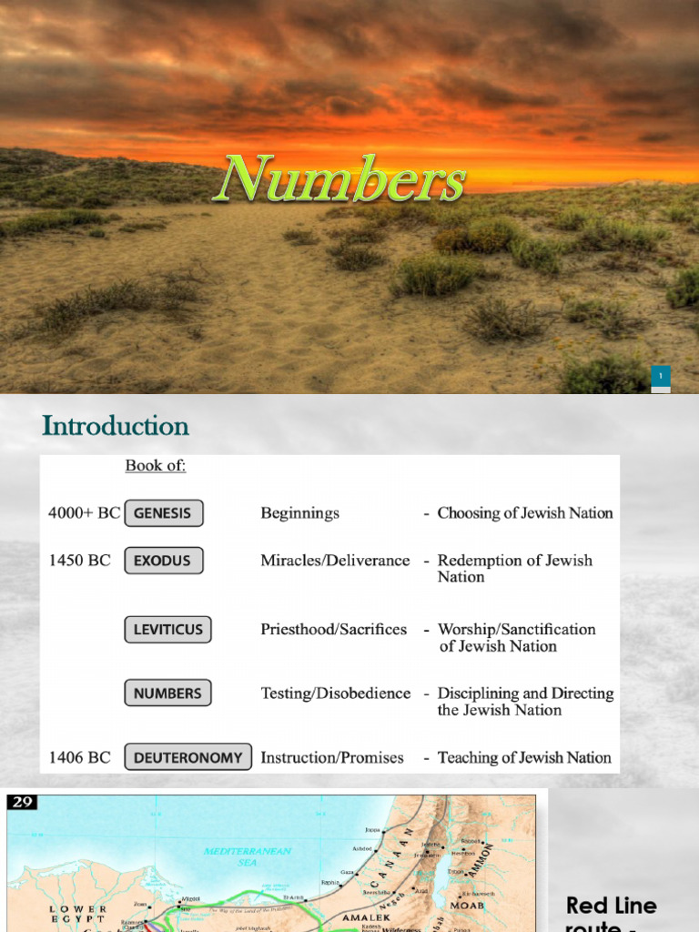 Overview of the Book of Numbers | PDF | Torah | Books Of The Hebrew Bible