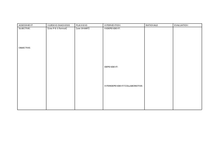 Nursing Care Plan Format | PDF