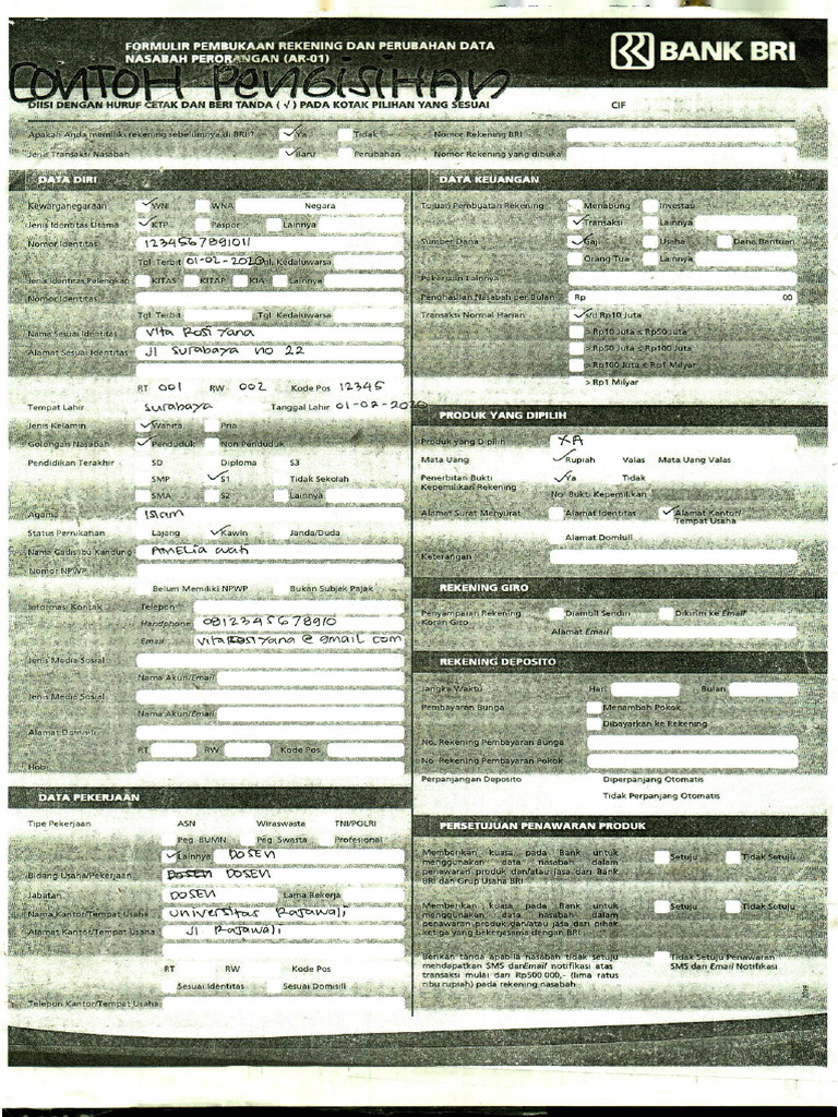 Petunjuk Pengisian Formulir BRI | PDF