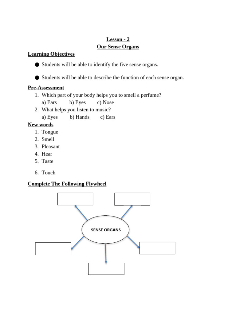 Our Sense Organs | PDF