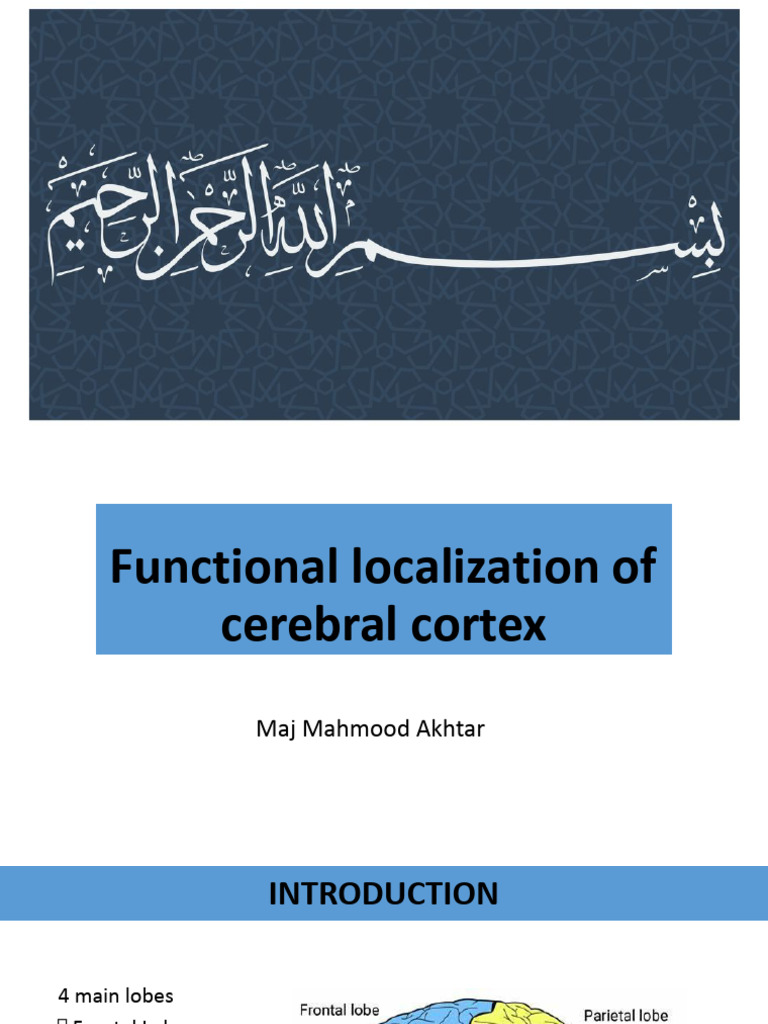 Functional Areas of Cortex | PDF | Frontal Lobe | Parietal Lobe
