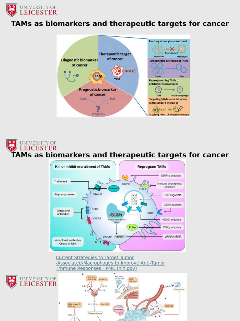 Tumour Associated Inflammation Therapy Slides | PDF