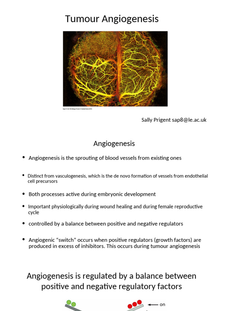 Prigent Lecture 3 Tumour Angiogenesis | PDF | Angiogenesis | Vascular Endothelial Growth Factor