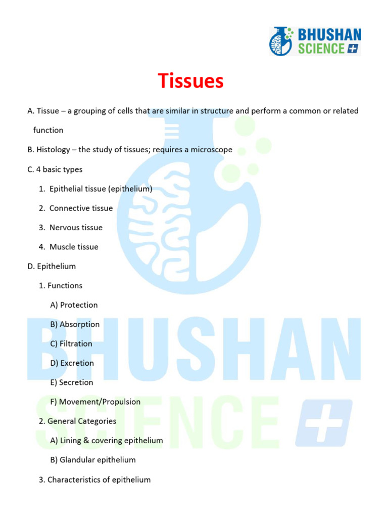 1.3. Tissues (Super Short Notes) - 790b6a51 5a6a 498c Bd76 56f16a5ae8cc ...